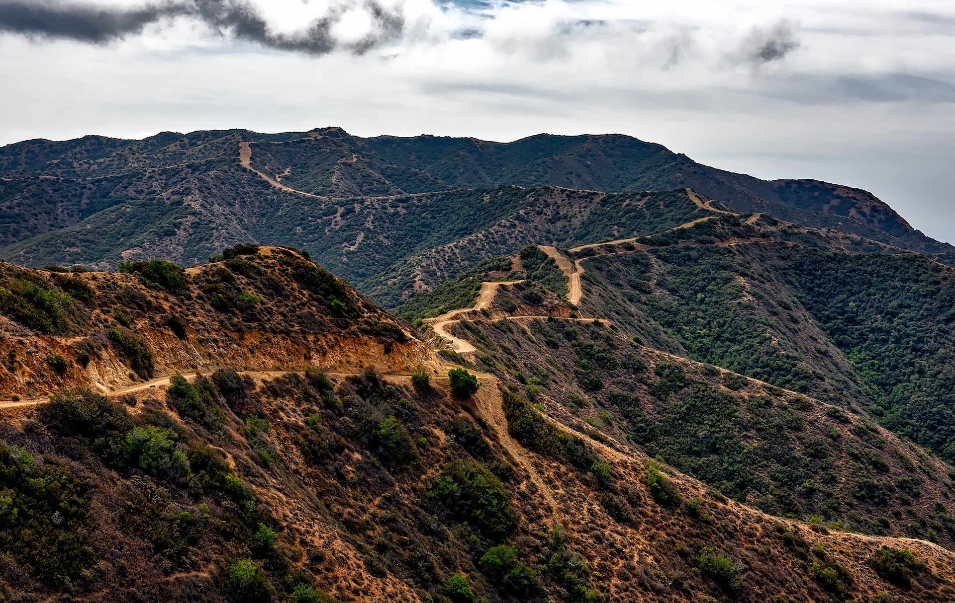 Things to Do in Catalina Island for Fun and Adventure