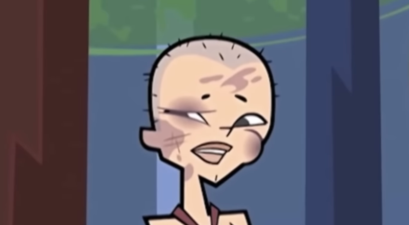 All About the 22 Total Drama Island Characters